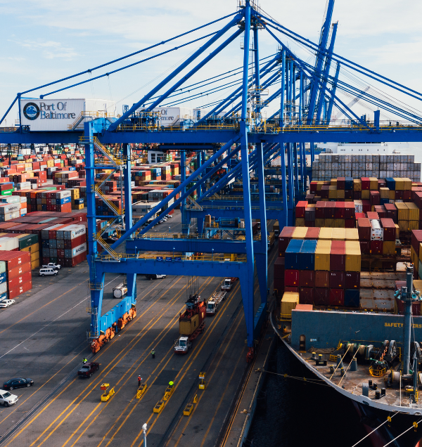 Untitled design (10)